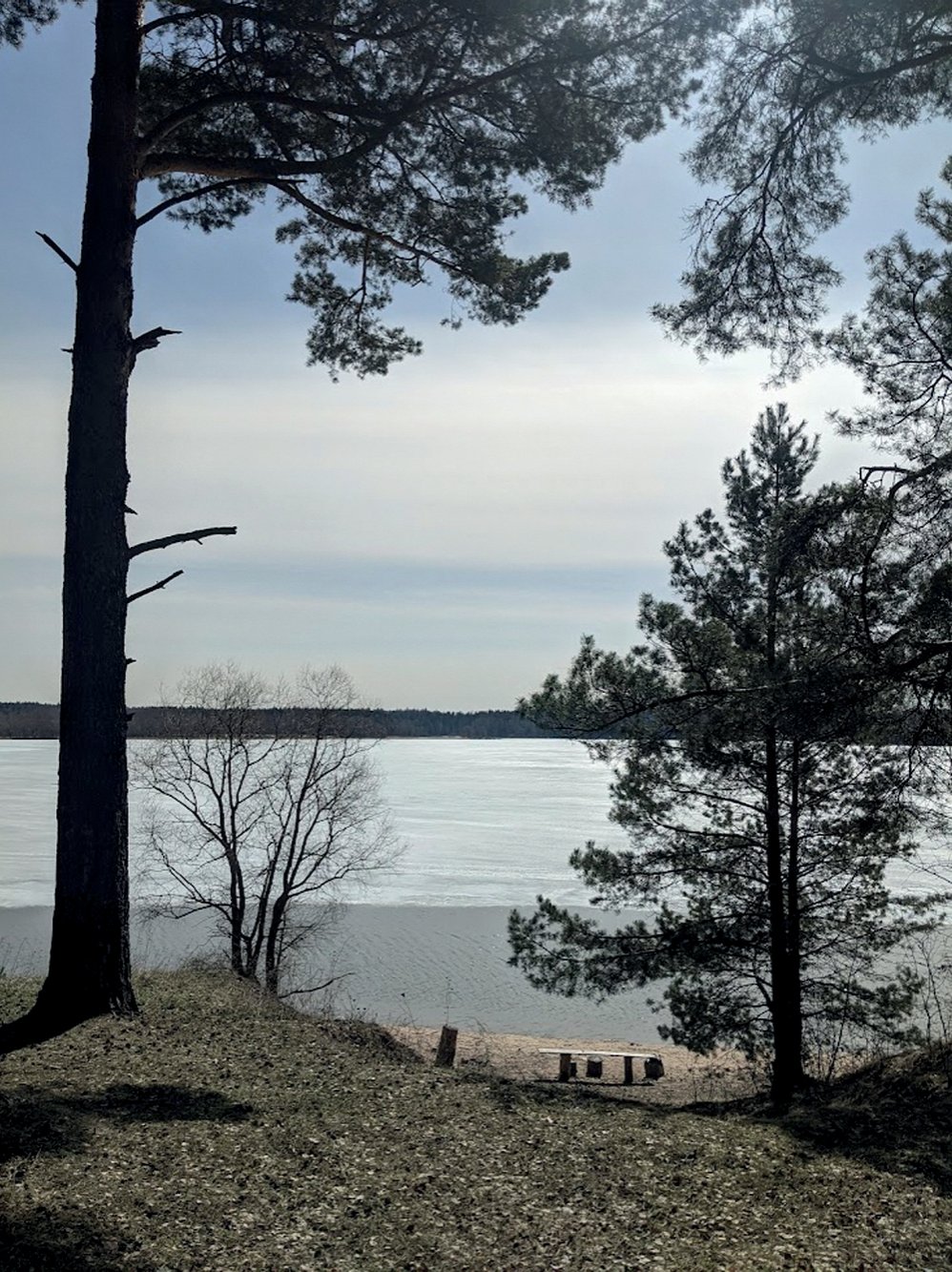 Архитектурный проект ОСОКА от «ZROBIM architects»